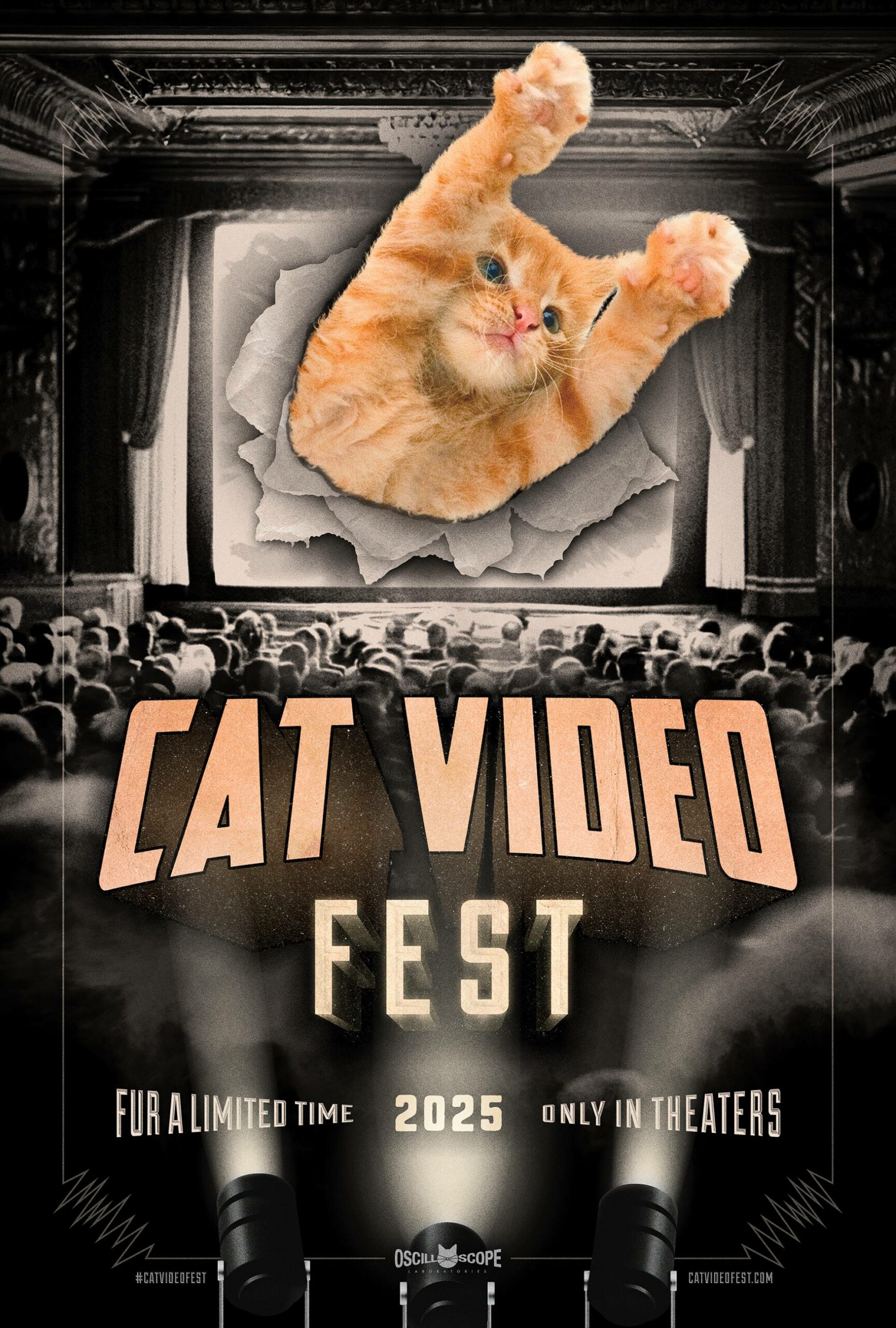 Cat Video Fest 2025